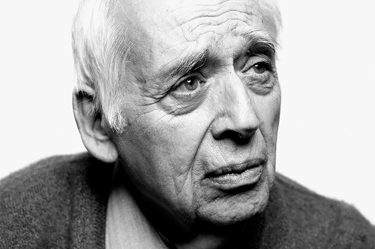 Sospecho que Cervantes tenía un oído infatigable, Harold Bloom – Calle ...